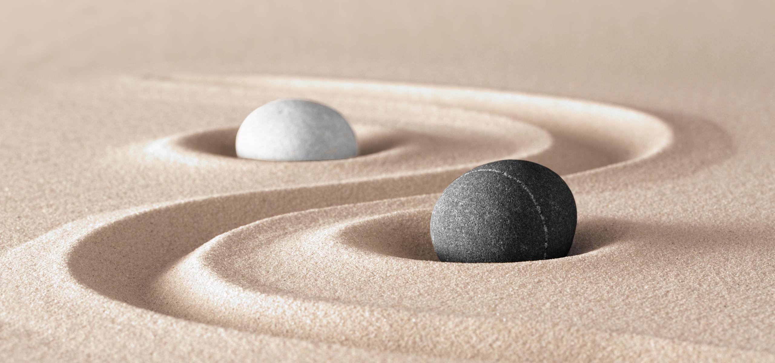 BPM vs RPA: Can They Be Compared or Combined? BPM vs RPA: Can They Be Compared or Combined?